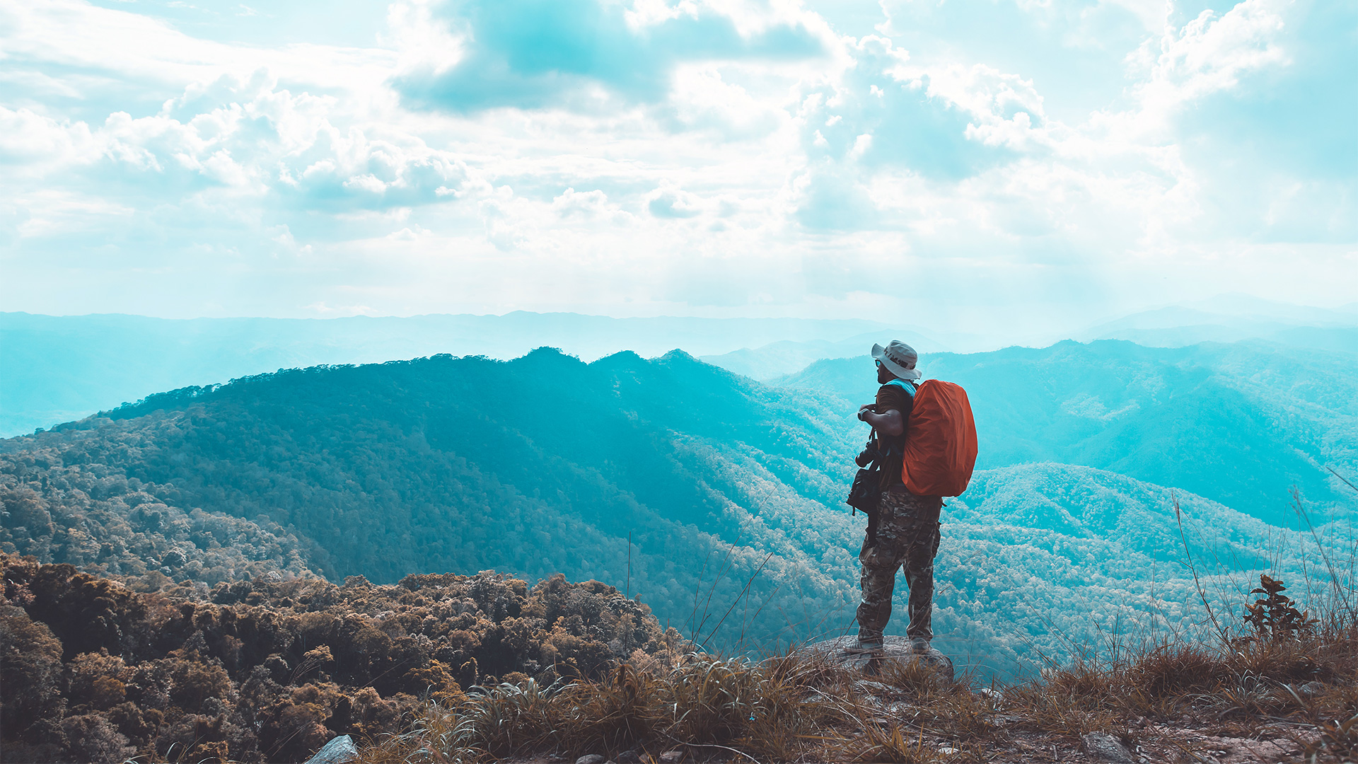 Human Rights Day: Why Safe, Fair, and Accessible Travel Matters